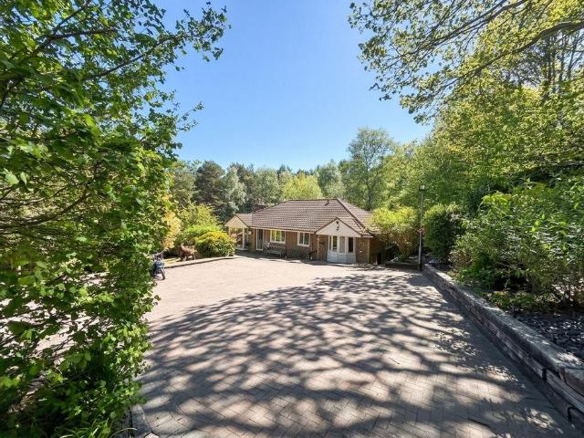 Well Hill Lane, Orpington, BR6 5 bed detached bungalow to rent £3,000 pcm £692 pw