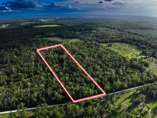Wellborn FL 32094 95313114