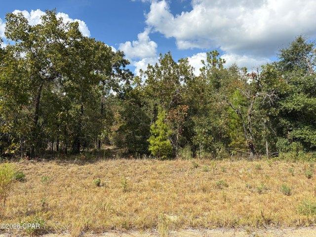 Weller St Lot 5, Chipley, FL 32428