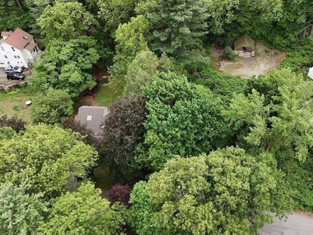 Wellesley MA 02482 102345420