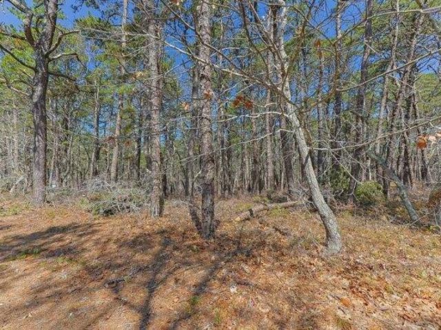 Wellfleet MA 02667 104570860