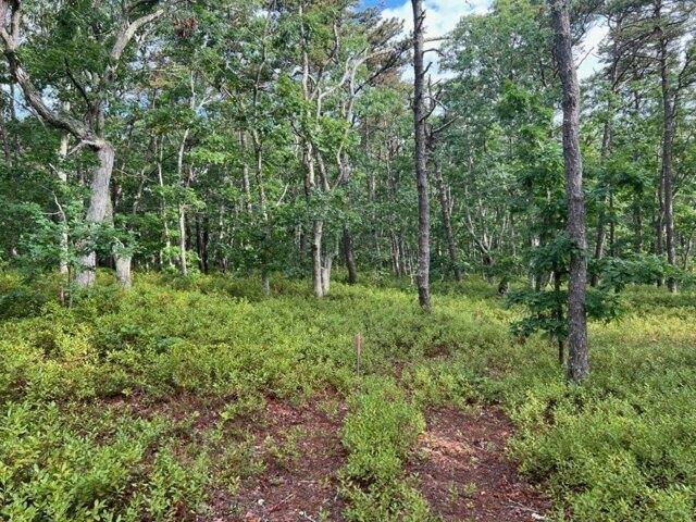 Wellfleet MA 02667 104789787