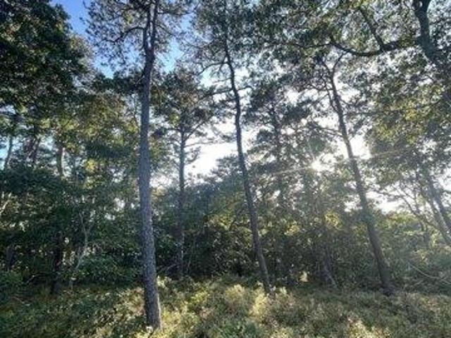 Wellfleet MA 02667 101783578