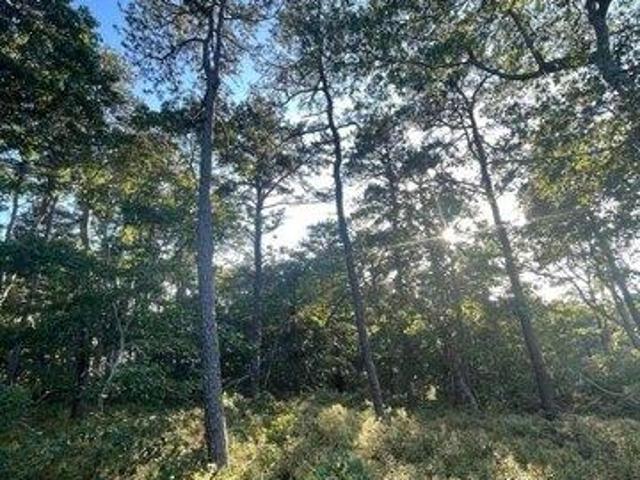 Wellfleet MA 02667 102592201