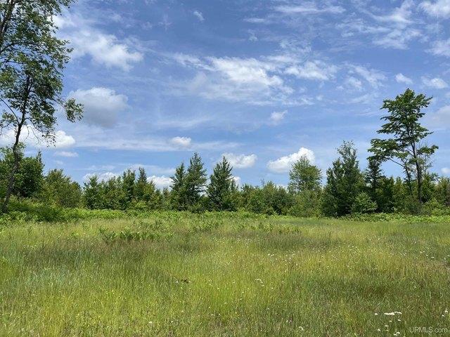 Wells Grade Rd, Sagola, MI 49881