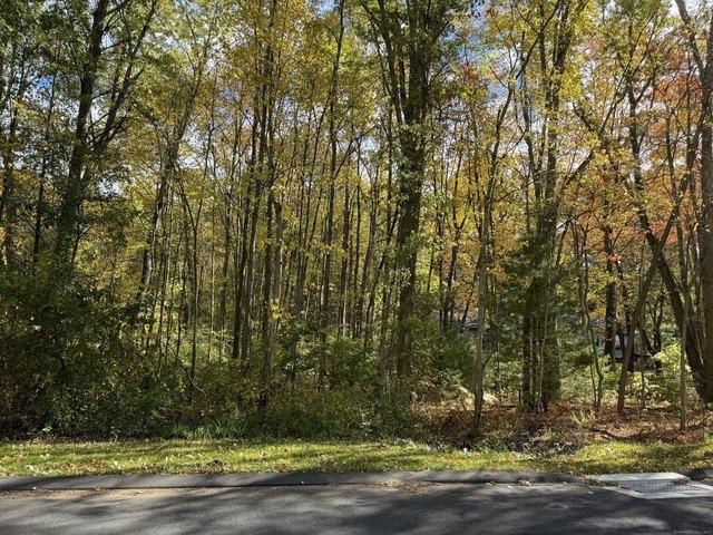 Wells Rd, East Windsor, CT 06088