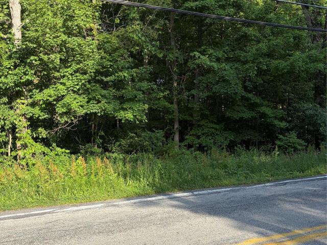 Wells Rd, Newburgh, NY 12550 | MLS #981241