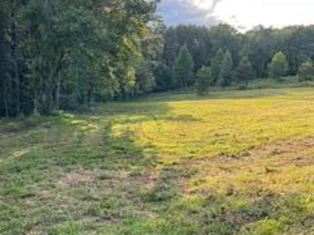 Wells Rd, Powell, TN 37849