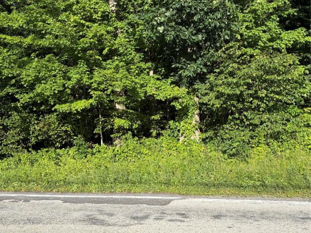 Wells Road