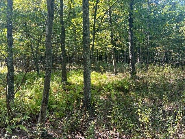 Werkheiser Ln, Stroud Township, PA 18360