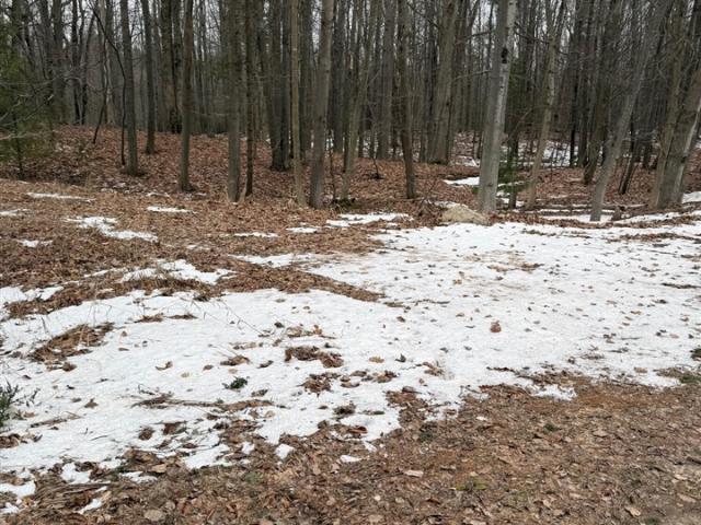 West Fox Farm Road