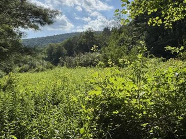 West Rd, Alford, Plot For Sale