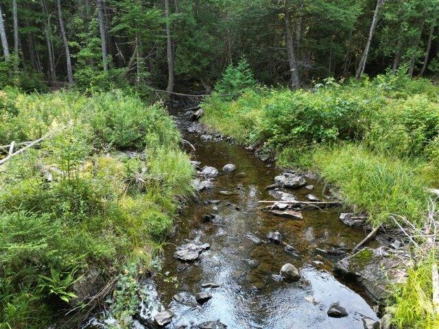 West Rd Lot, Springfield, Plot For Sale