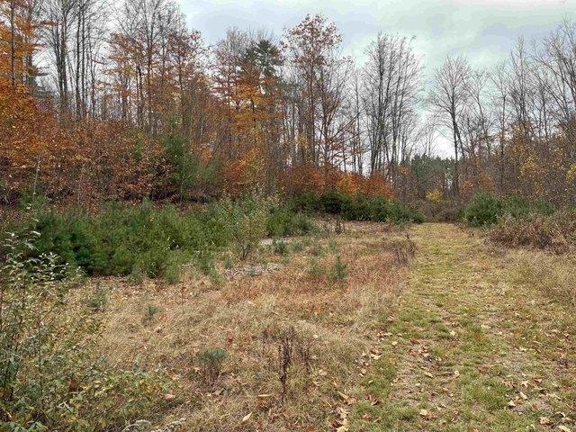 West St, Antrim, NH 03440