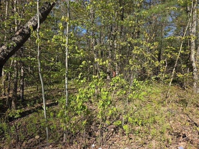 West St Lot,ludlow, Plot For Sale