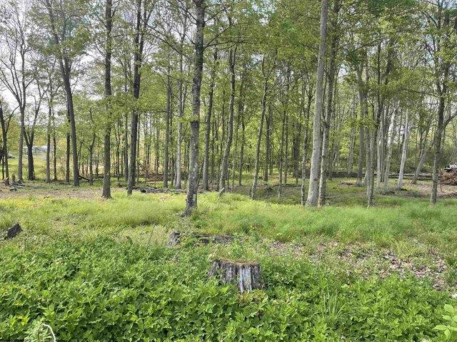 West St, Reedsville, WV 26547