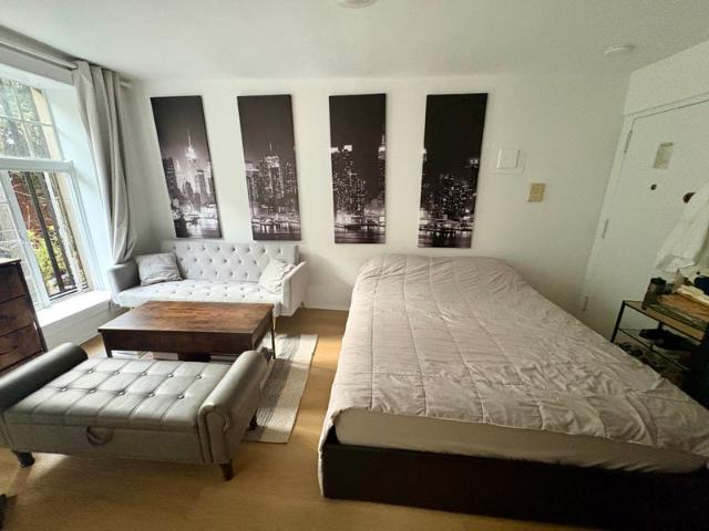 West Village Studio Available July Sept!