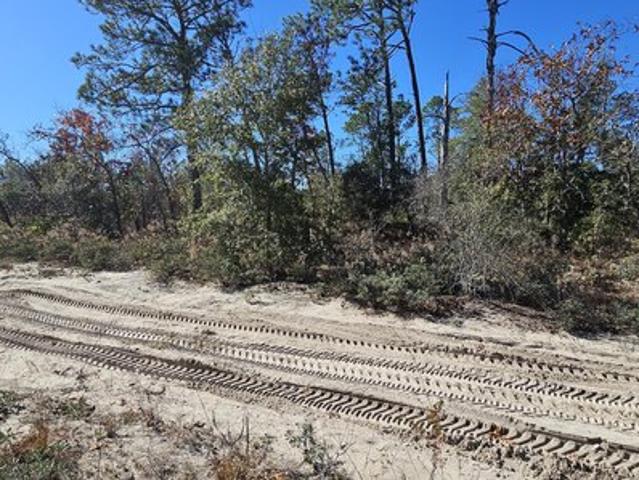 Westchester Dr, Fountain, FL 32438
