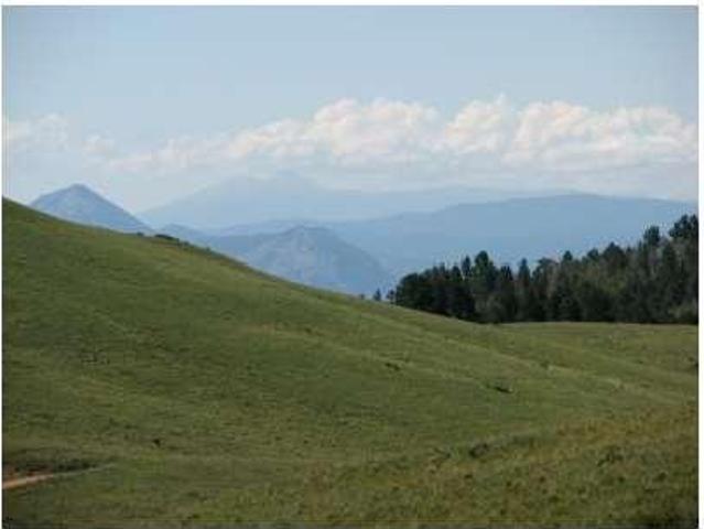 Westcliffe, CO Custer Country Land 35.50 acre for sale in Horn Creek, Colorado