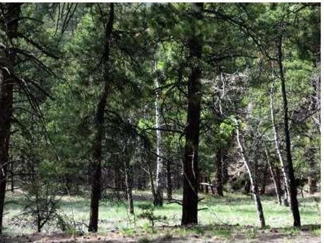 Westcliffe, CO Custer Country Land 7.01 acre for sale in Horn Creek, Colorado