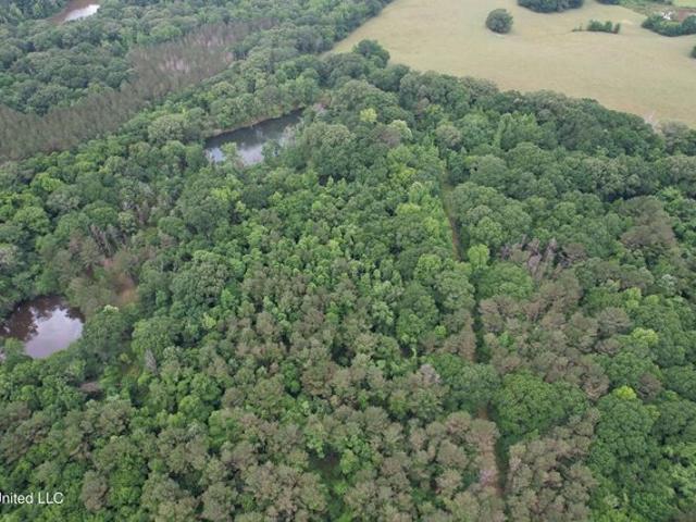 Westbrook and Bend Rd, Vaughan, MS 39179