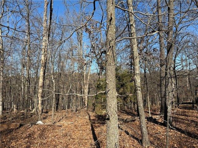 Westbury Dr Lot 10, Bella Vista, AR 72714