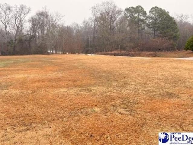 Westbury Mill Rd, Sumter, Plot For Sale