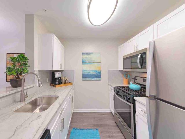 Westerly at Worldgate 2 Bedroom Apartment for Rent at 13000 Wilkes Way, Herndon, VA 20170 Herndon