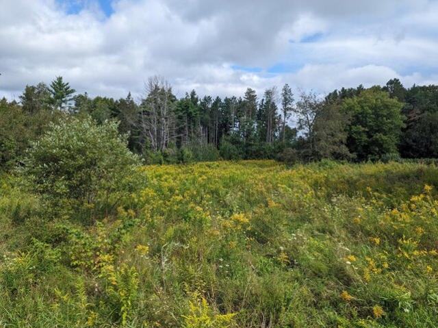 Western Ave, Hampden, Plot For Sale