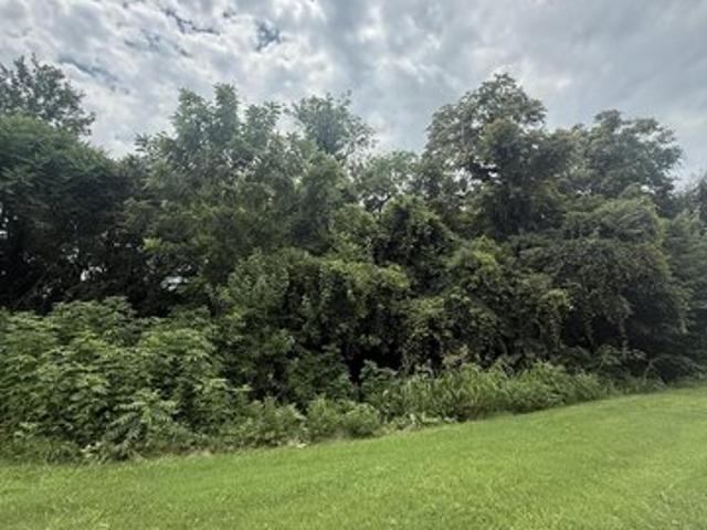 Western Ave, Knoxville, TN 37921