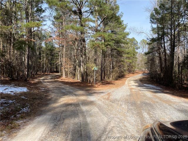 Western Trail, Carthage, NC 28327 | MLS #756792