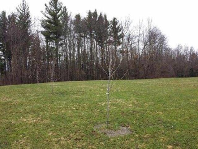 Westfield VT 05874 102593607