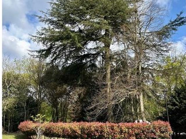 Westhorpe House, Marlow SL7, 2 bedroom flat to rent 69951355 | PrimeLocation