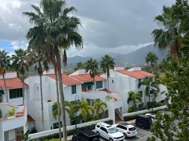 Westin Rio Mar Vlg Unit,rio Grande, Flat For Sale