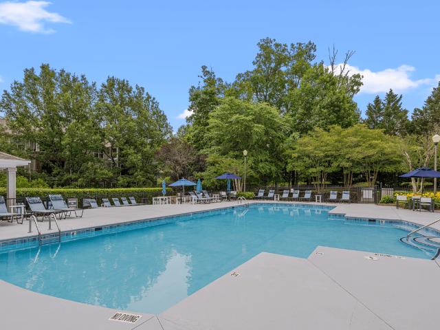 Weston Reserve Apartments 1 Bedroom Apartment for Rent at 1000 Henrico Ln, Morrisville, NC 27560