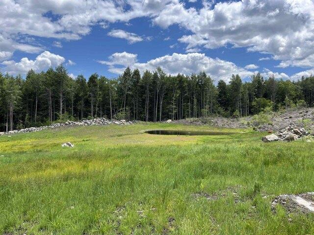 Weston VT 05161 104790165