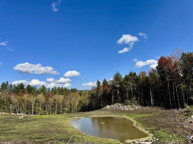 Weston VT 05161 LS102280509