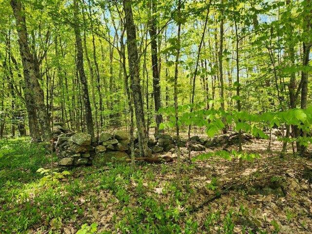 Westmoreland NH 03467 103036496
