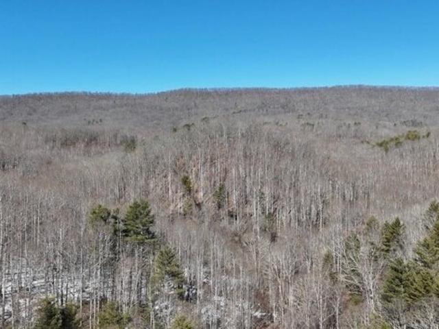 Westminster Rd, Millboro, Plot For Sale