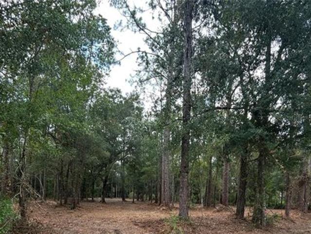 Westpoint Dr, Wesley Chapel, FL 33544