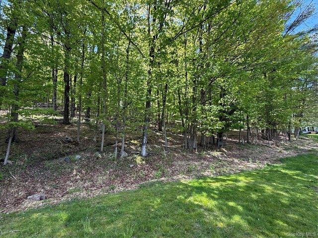 Westwood Ave, Ellenville, NY 12428