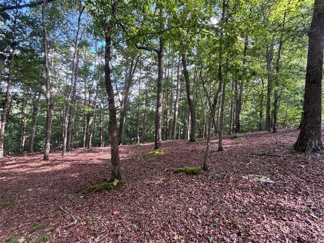 Westwood Ave Lot 5, Blairsville, GA 30512