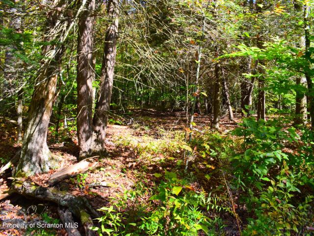 Westwoods Road Rd, Brackney, PA 18812 | MLS #SC255194 | Compass