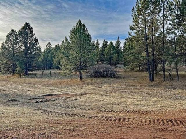 Westwind Dr Lot 2, Hot Springs, SD 57747