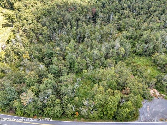 Wesser Rd, Spring Brook Township, PA 18444