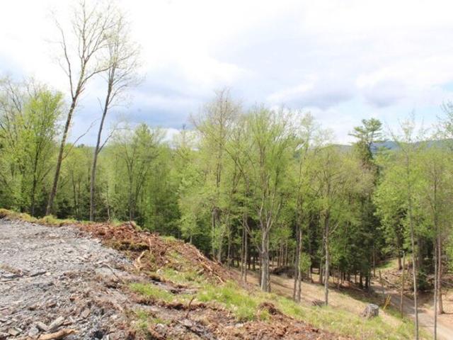 Wetherbee Rd Lot /, Lyman, Plot For Sale