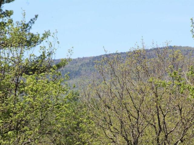 Wetherbee Rd Lot /, Lyman, Plot For Sale