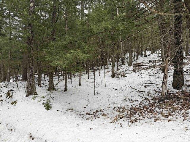 Wetherbee Rd Lot,lyman, Plot For Sale