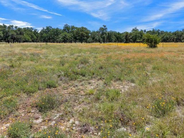 Wetmore Way, Round Mountain, TX 78663