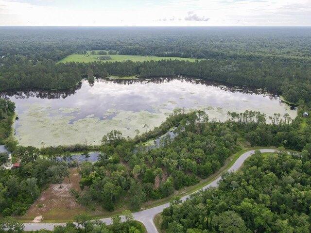 Wewahitchka FL 32465 89460646